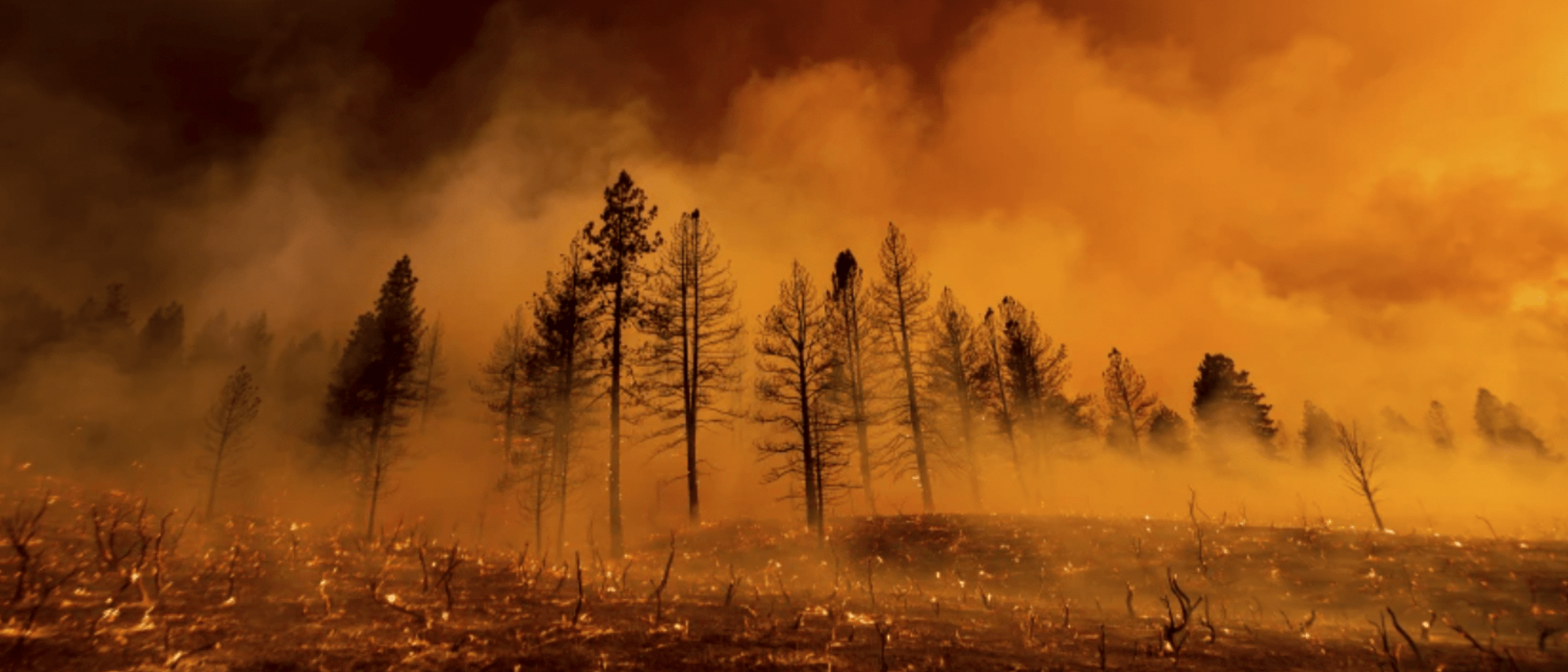 Silica Detection - Silica Dust Detection | Applied Particle Technology